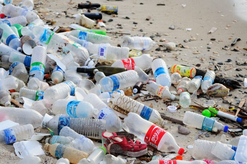 The plastic pandemic: The urgent need for sustainability and a circular ...